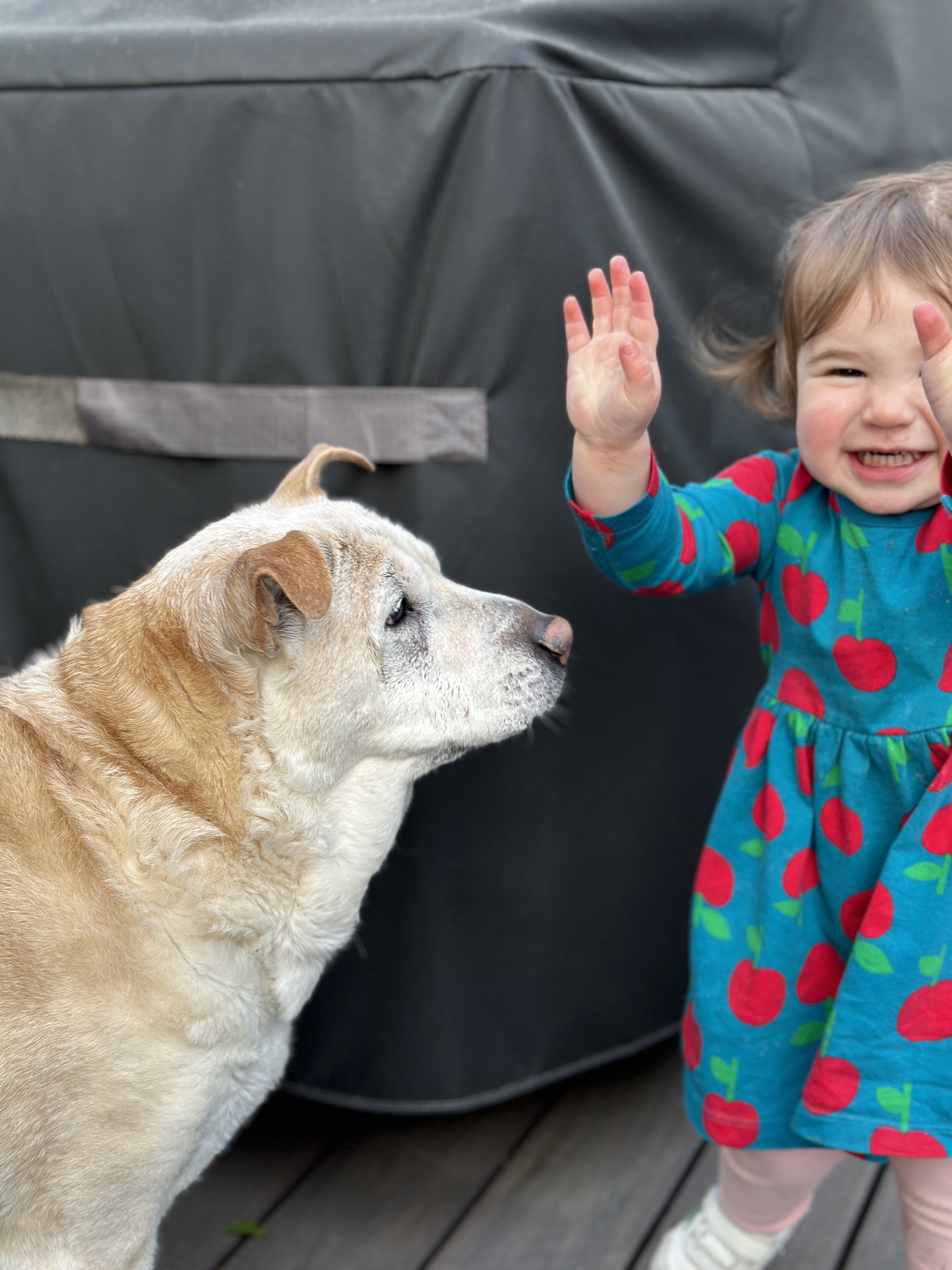 Spring has (almost) sprung! – Dear Chloe.